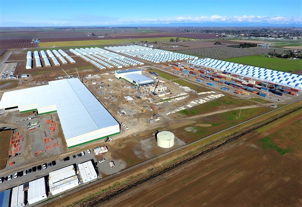 Planta de MDF de palha de arroz começa as operações nos EUA - Móveis de ...