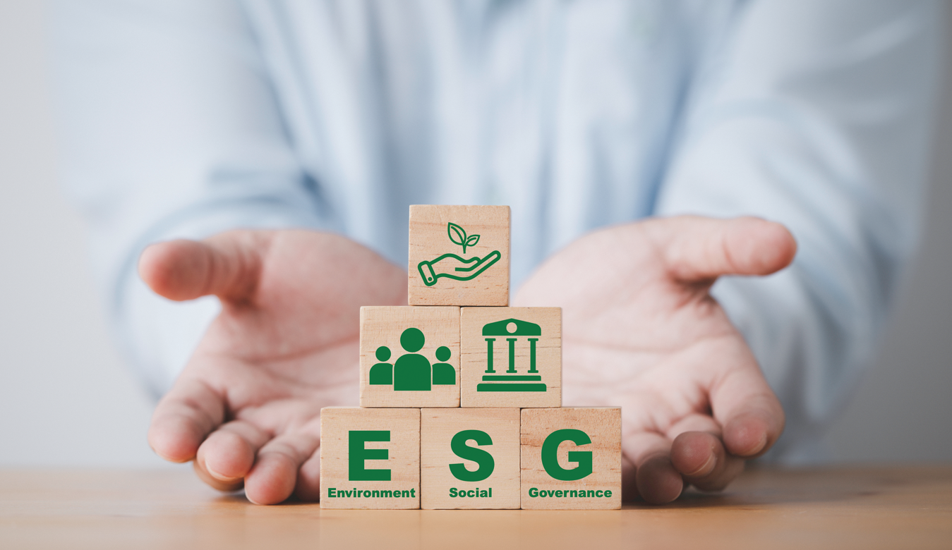 Veja como setor colchoeiro está investindo em ações ESG - Móveis de Valor