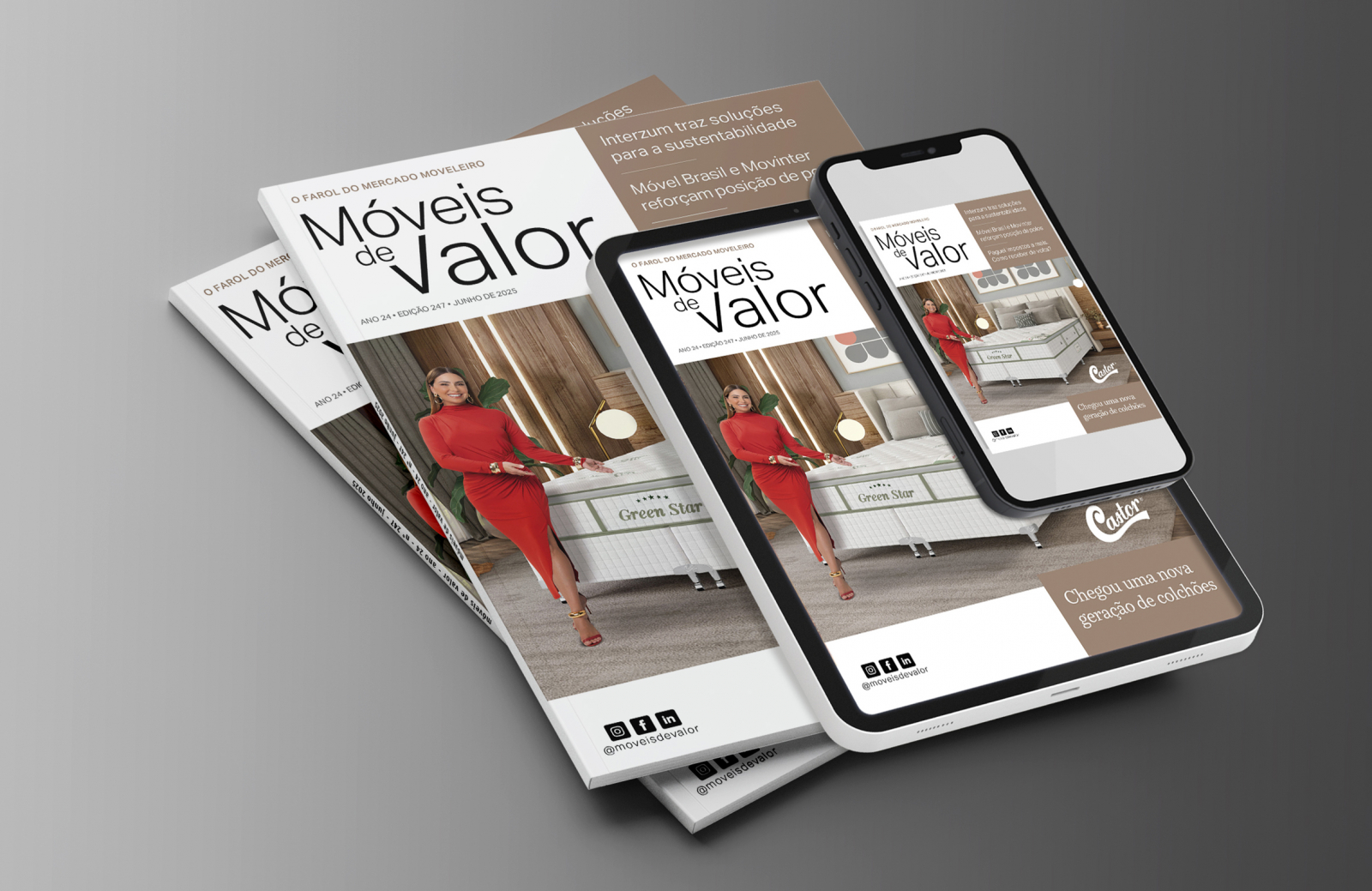 Revista MV n° 247 - Móveis de Valor